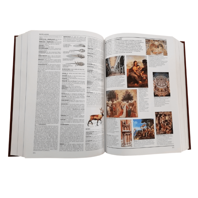 DICCIONARIO LAROUSSE ILUSTRADO PREMIUM 1 TOMO - Programa Educativo Nacional Sa de Cv