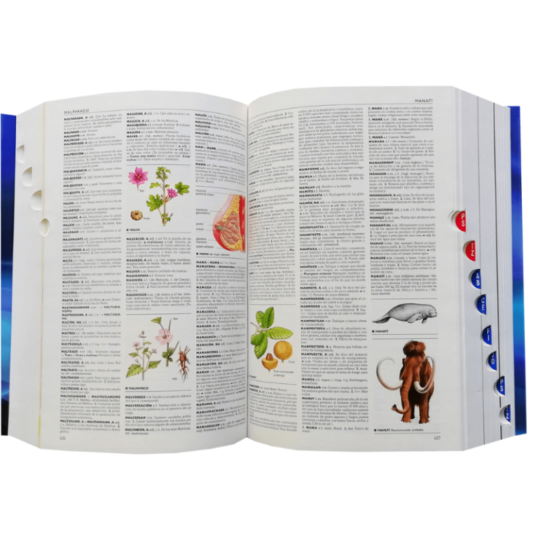 DICCIONARIO ENCICLOPÉDICO LAROUSSE 2009 1 TOMO - Programa Educativo Nacional Sa de Cv